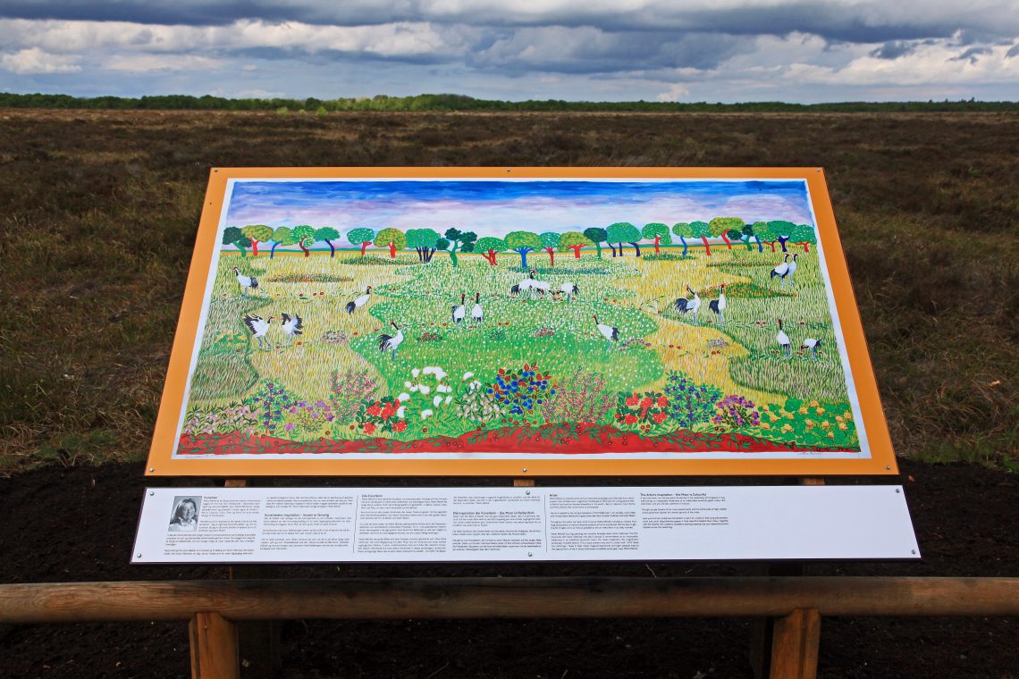 Mette Rehné – ude og hjemme | JammerbugtNu